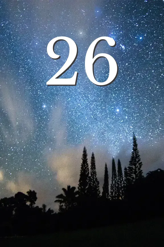 April 26th 2026 - Aurora at the Inn - Store - Twice Brewed Inn