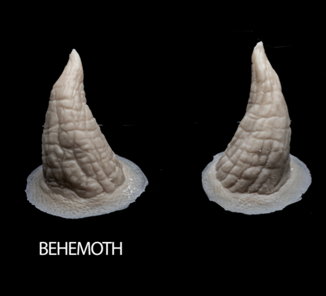 BEHEMOTH