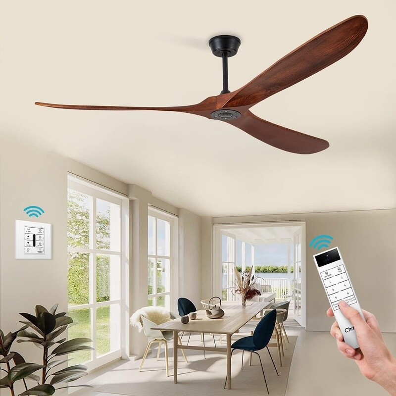 60'' Ceiling Fan With Remote and Wall Control