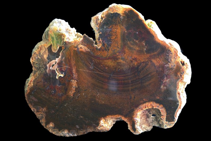 Jasper Agate Slab. Dense Moss with Botryoidal Geode on one side