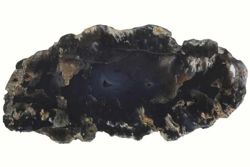 Black Agate, Botryoidal on the outside and white plumy edges , RARE