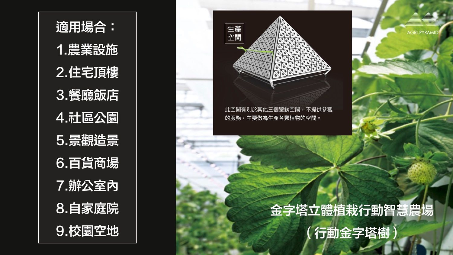 金字塔立體植栽 / pyramid mobile smart farm / mobile pyramid tree