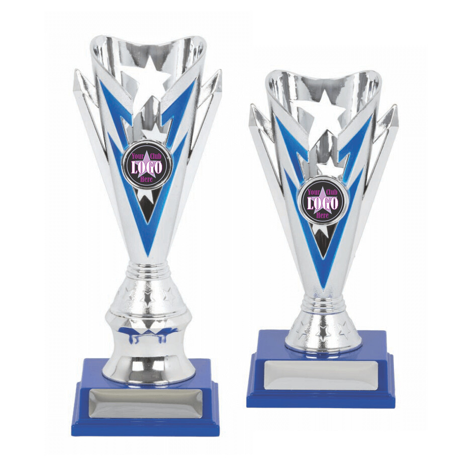 Buy Corporate Trophies in Townsville | NQ Plaques & Trophies