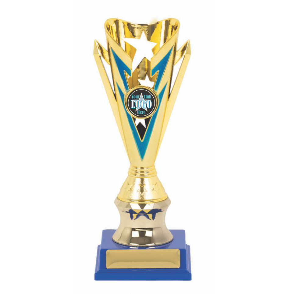 Buy Corporate Trophies in Townsville | NQ Plaques & Trophies