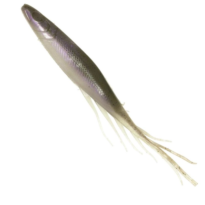 JUDY FISH