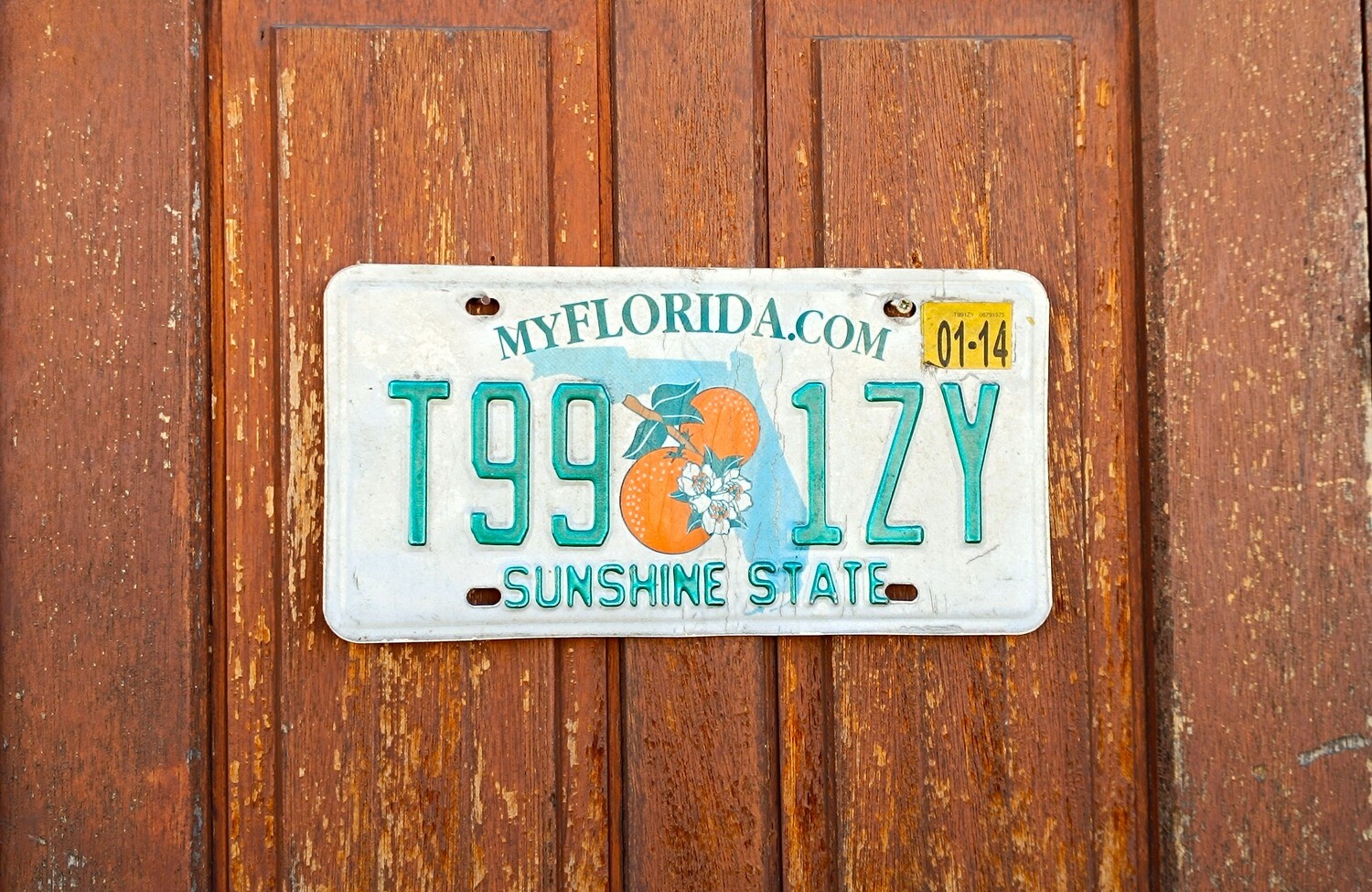 PLAQUE FLORIDE