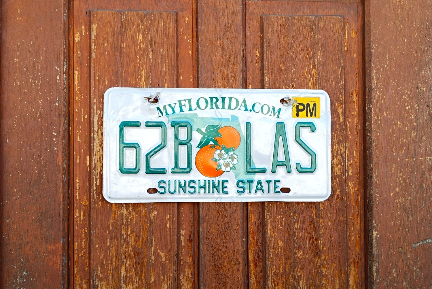 PLAQUE FLORIDE