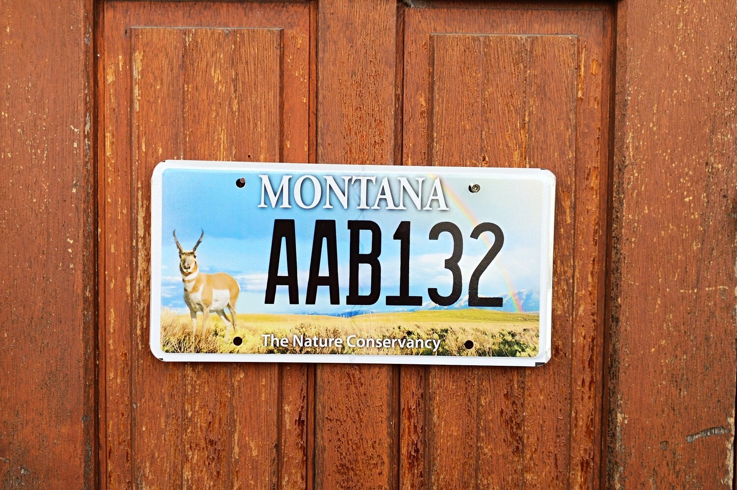 PLAQUE MONTANA THE NATURE