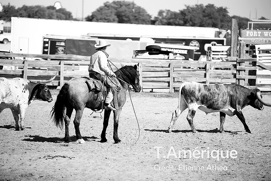 PHOTO COWBOY DU TEXAS