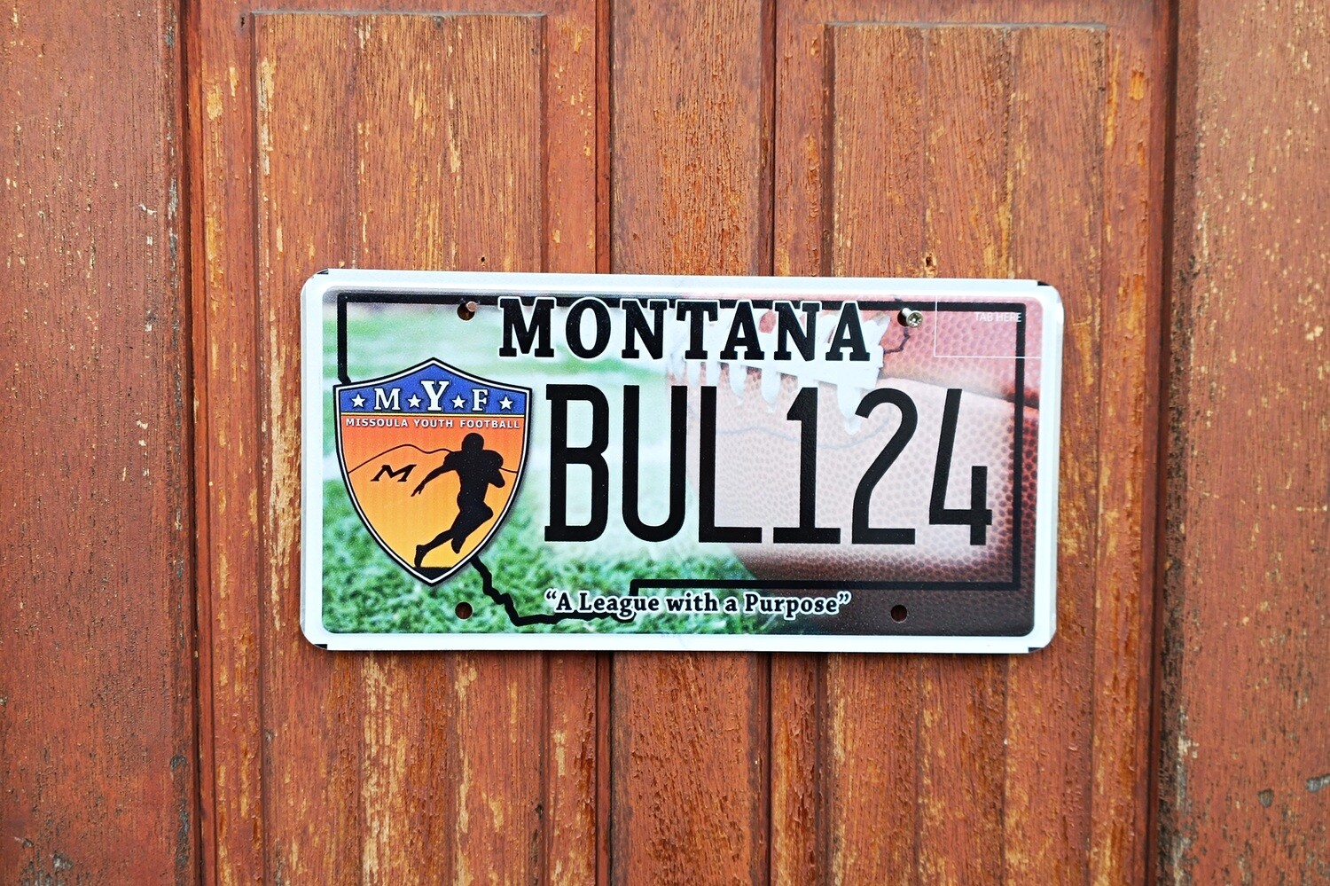 PLAQUE DU MONTANA