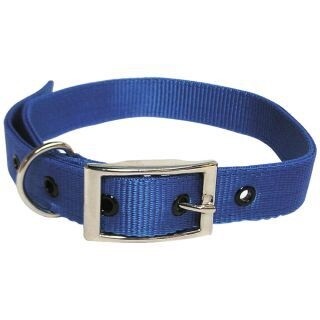 SHOOF GOAT COLLAR NYLON BUCK BLUE