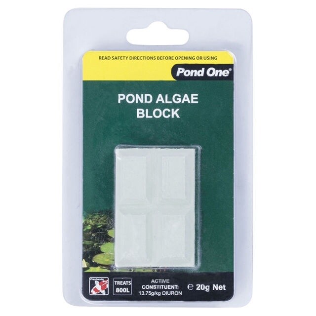 POND ALGAE BLOCK 20G