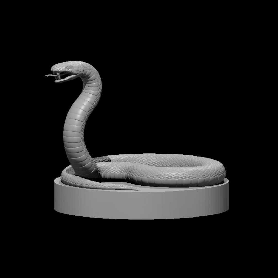 Poisonous Snake - Fantasy TTRPG Miniatures - Home
