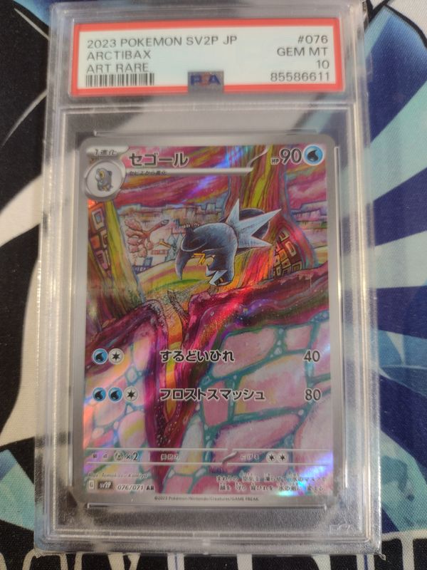 Japanese Arctibax PSA 10 Snow Hazard