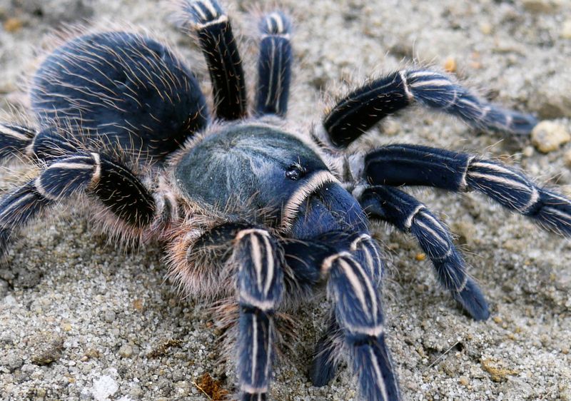 Home [www.justonemore.uk]