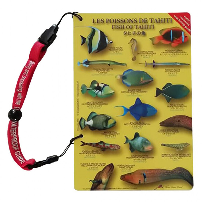 Submersible fish pocket guide fish and marine life of Polynesia