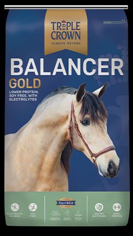 Triple Crown 30% Balancer Gold