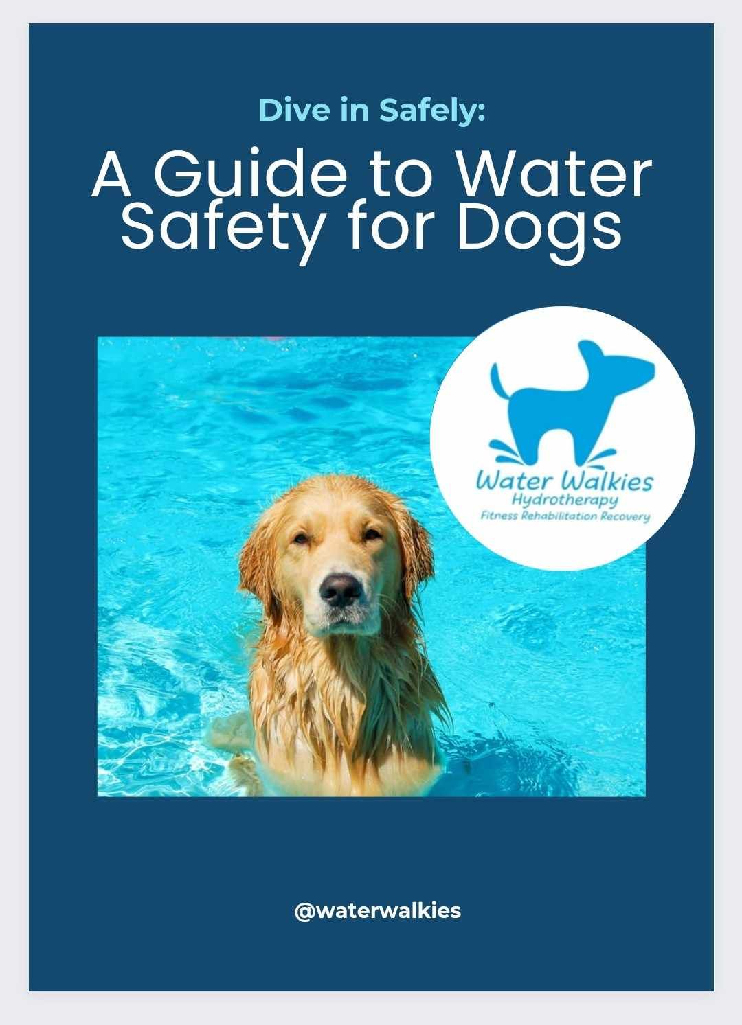 Dive in Safely: A Guide to Water Safety for Dogs