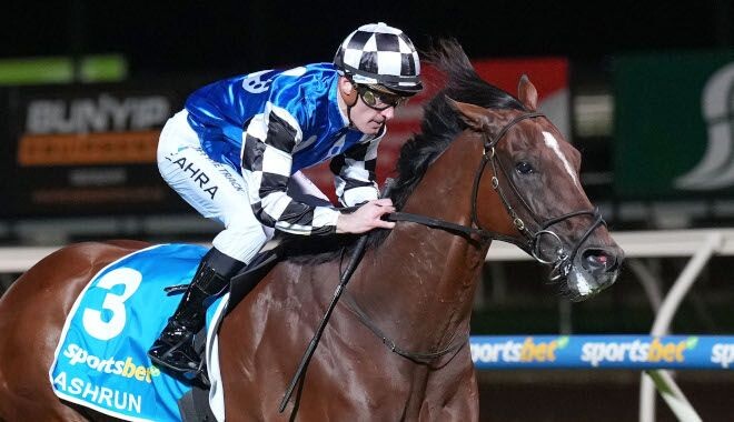 Australian Bloodstock | Australia's Premier Horse Racing Syndicate
