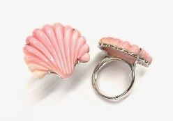 Queen Conch/SS Clam Shell Ring