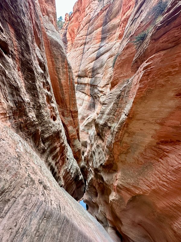 Canyoneer