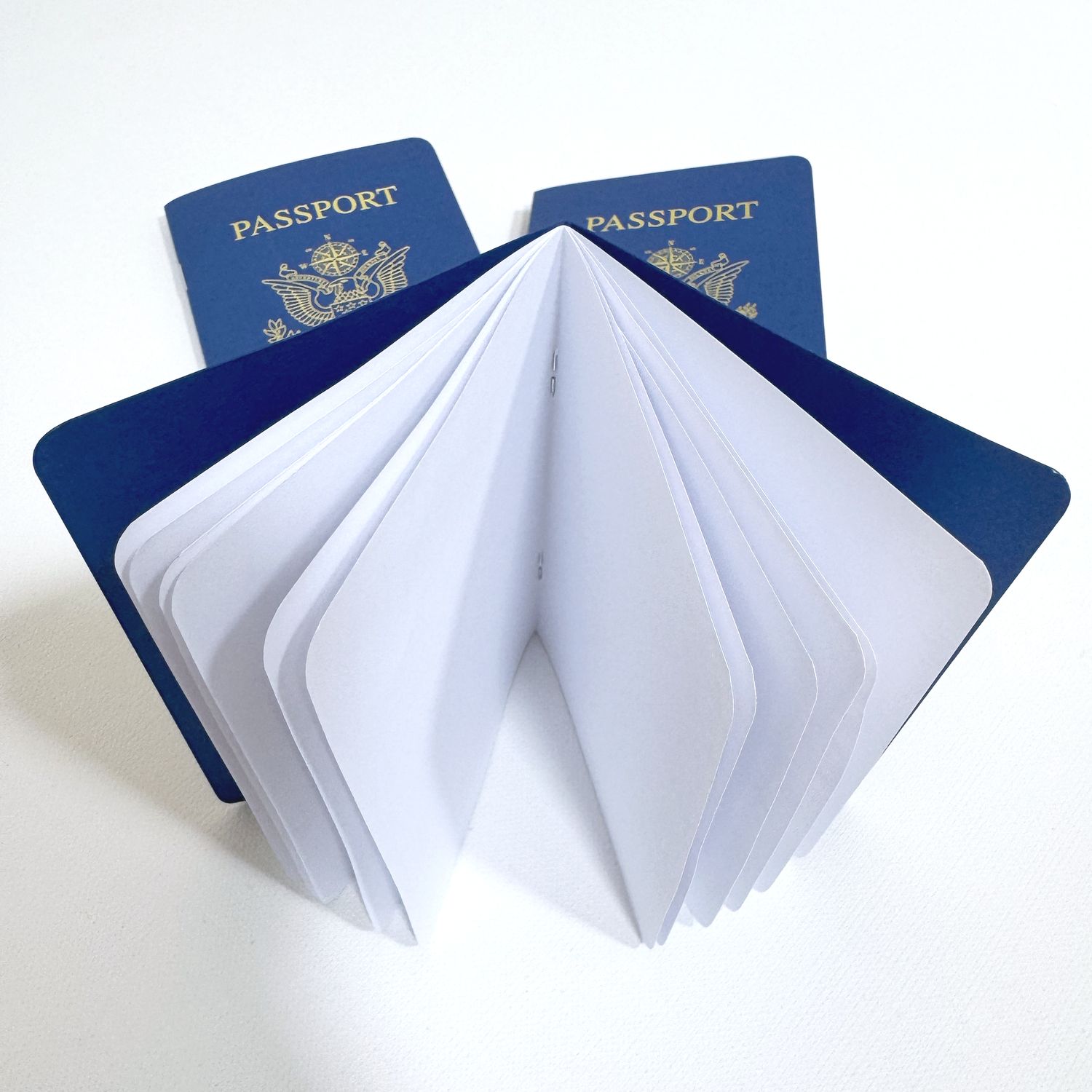 RICH BLUE Shimmer Passport Books (Pack of 10) – Passport Notebook ...