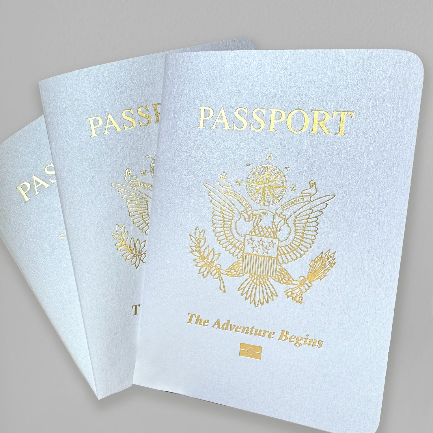 WHITE Shimmer Passport Books (Pack of 10) – Passport Notebook Favors by ...