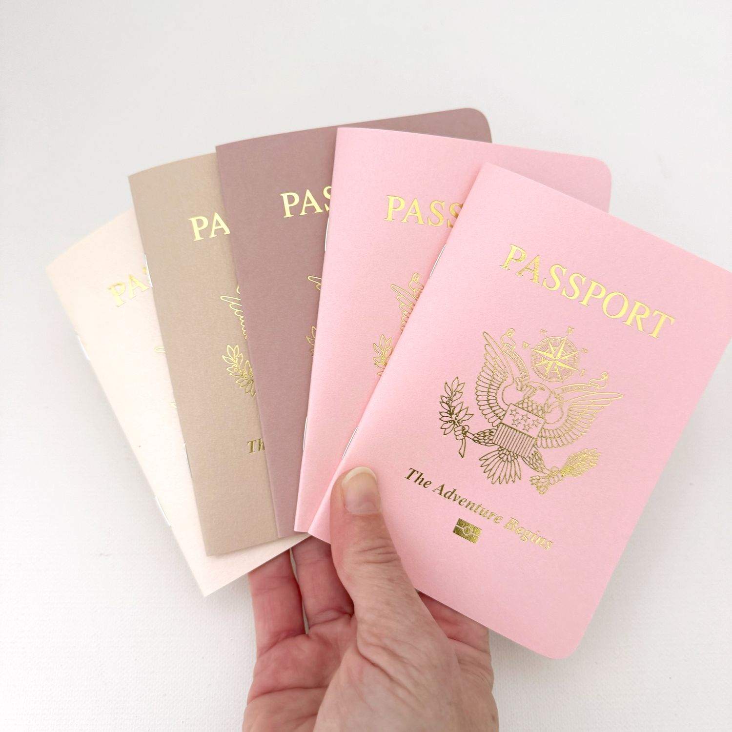 Combo Pack – PINKS Passport Books (Pack of 10) – Passport Notebook ...