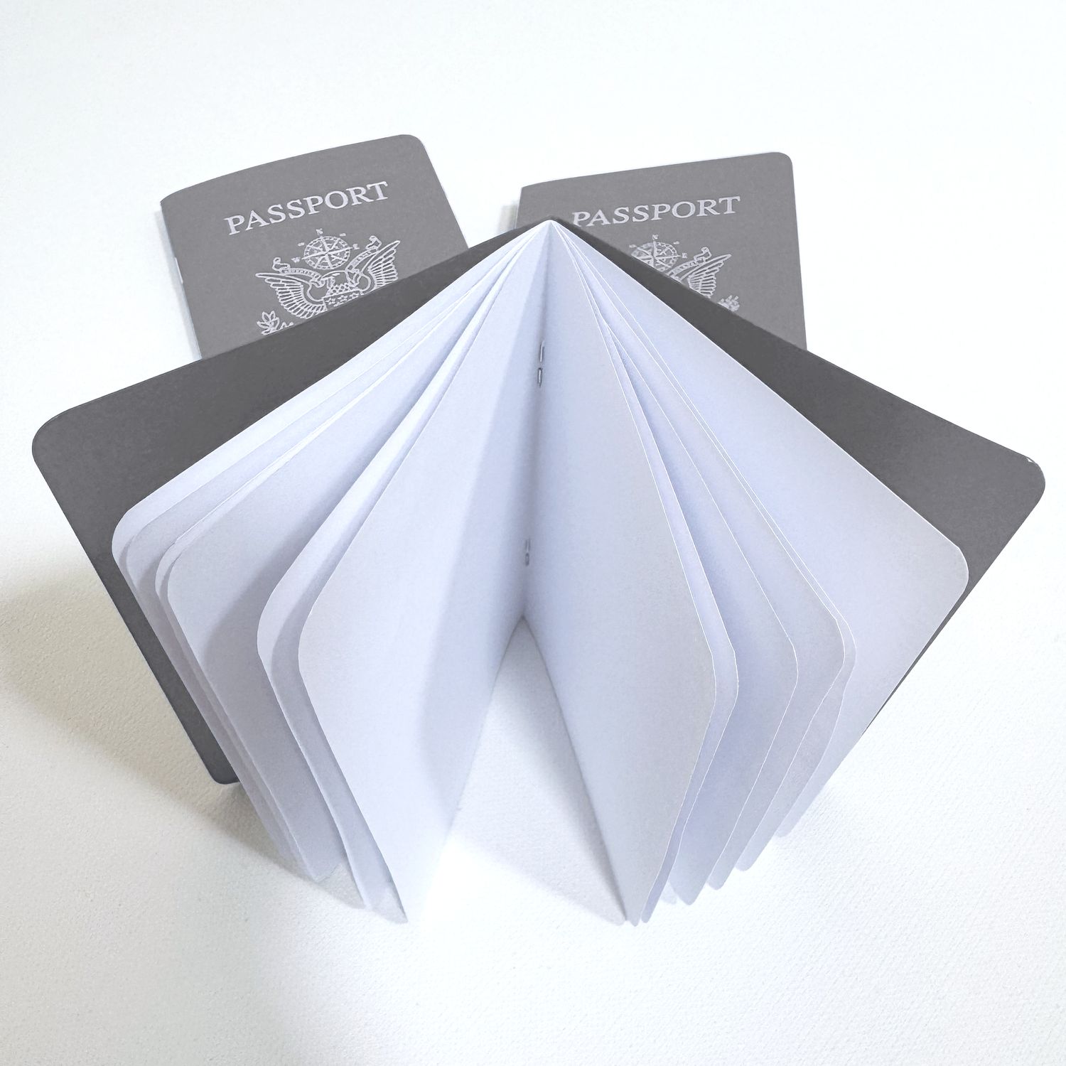 Combo Pack – SILVER + GRAY Passport Books (Pack of 10) – Passport ...