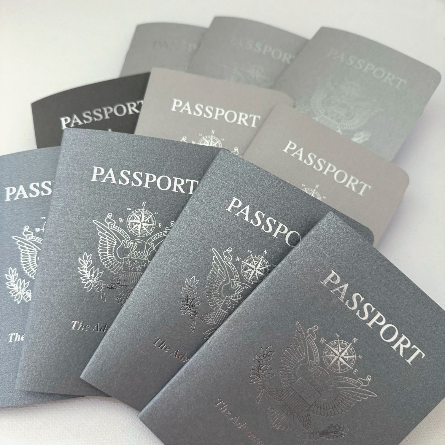 Combo Pack – SILVER + GRAY Passport Books (Pack of 10) – Passport ...