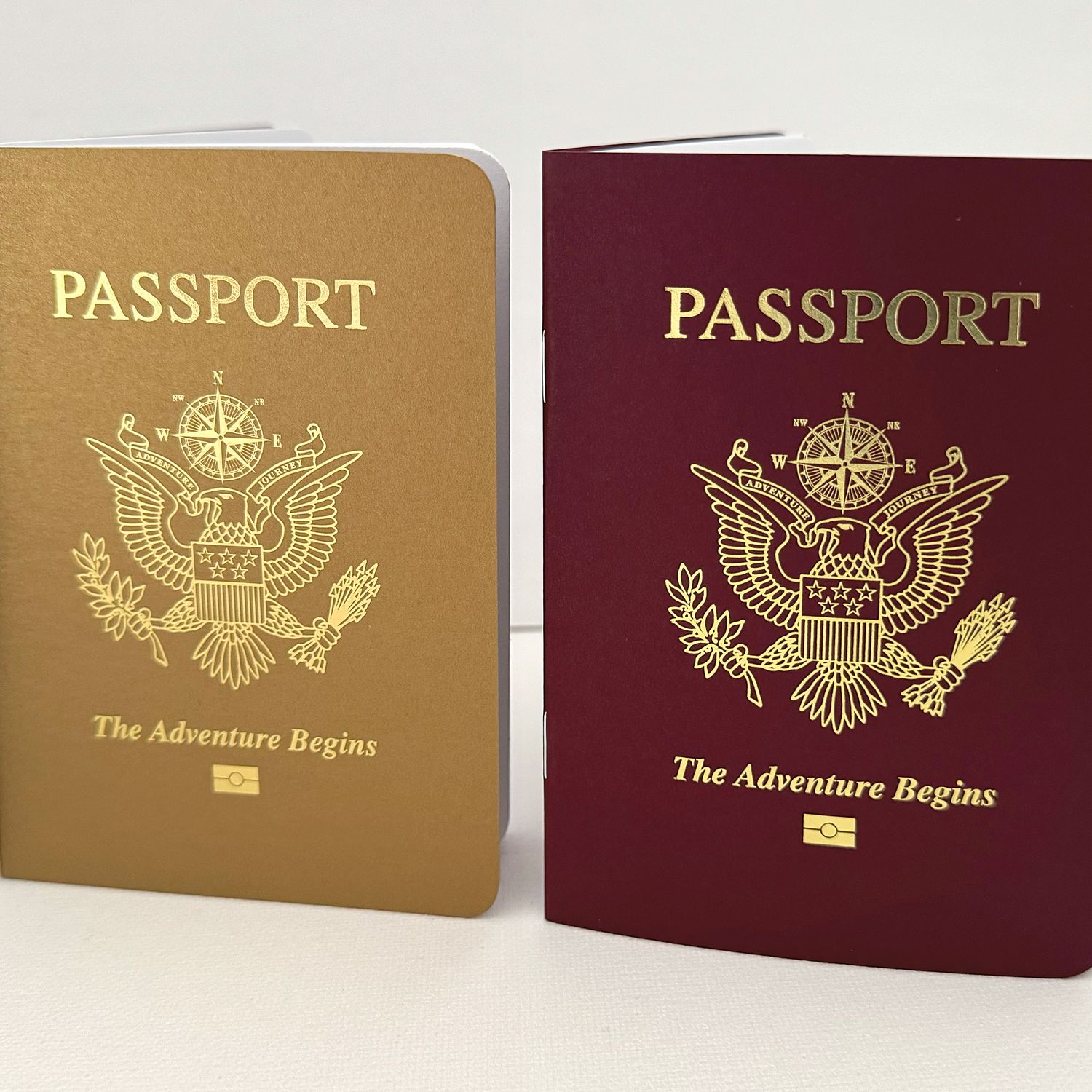 Combo Pack – BURGUNDY & GOLD Passport Books (Pack of 10) – Passport ...
