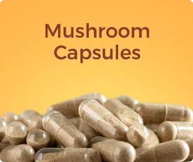 Buy Magic Mushroom Capsules Online - Premium Capsules