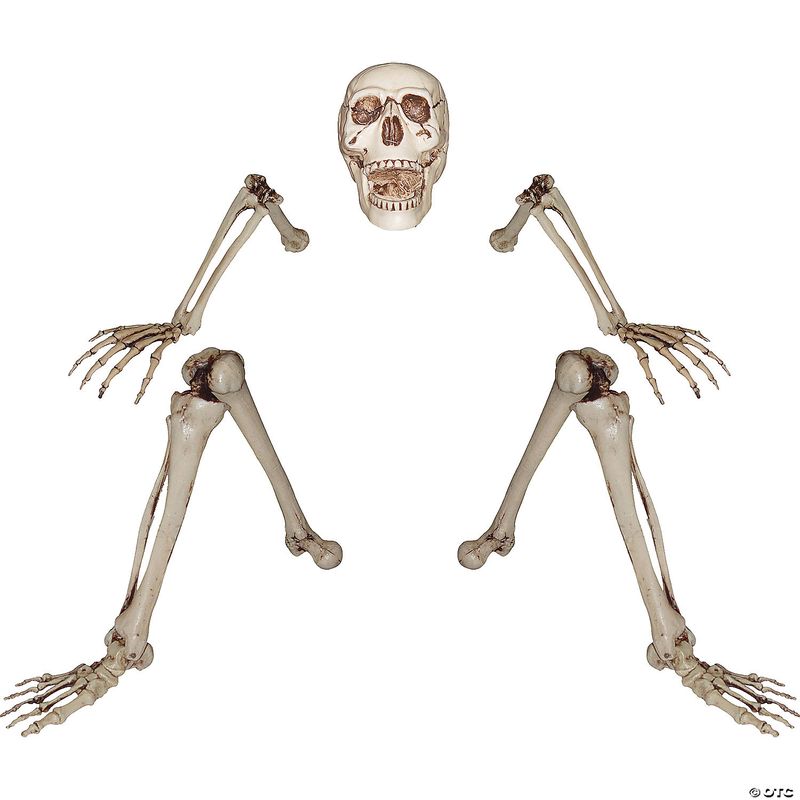 Lifesize Groundbreaking Skeleton