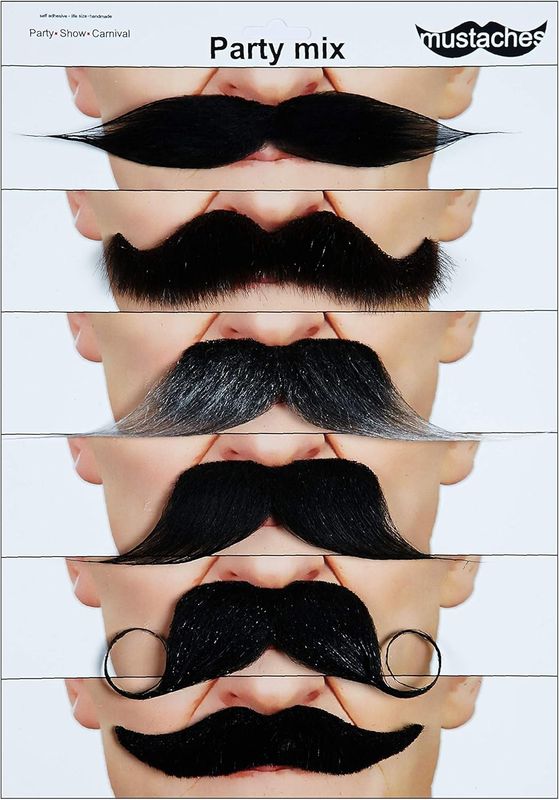 Mustache Party Mix 6ct