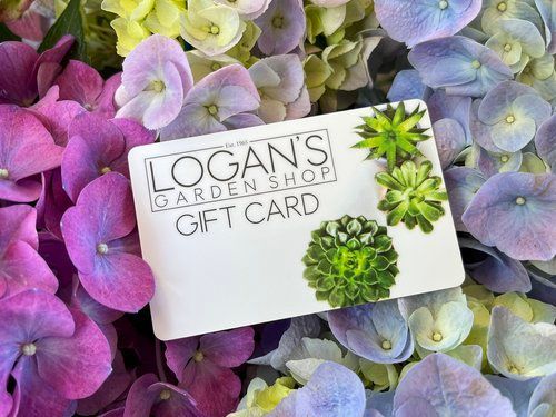 Logan's Garden Shop - Raleigh , NC - Gift Card Store