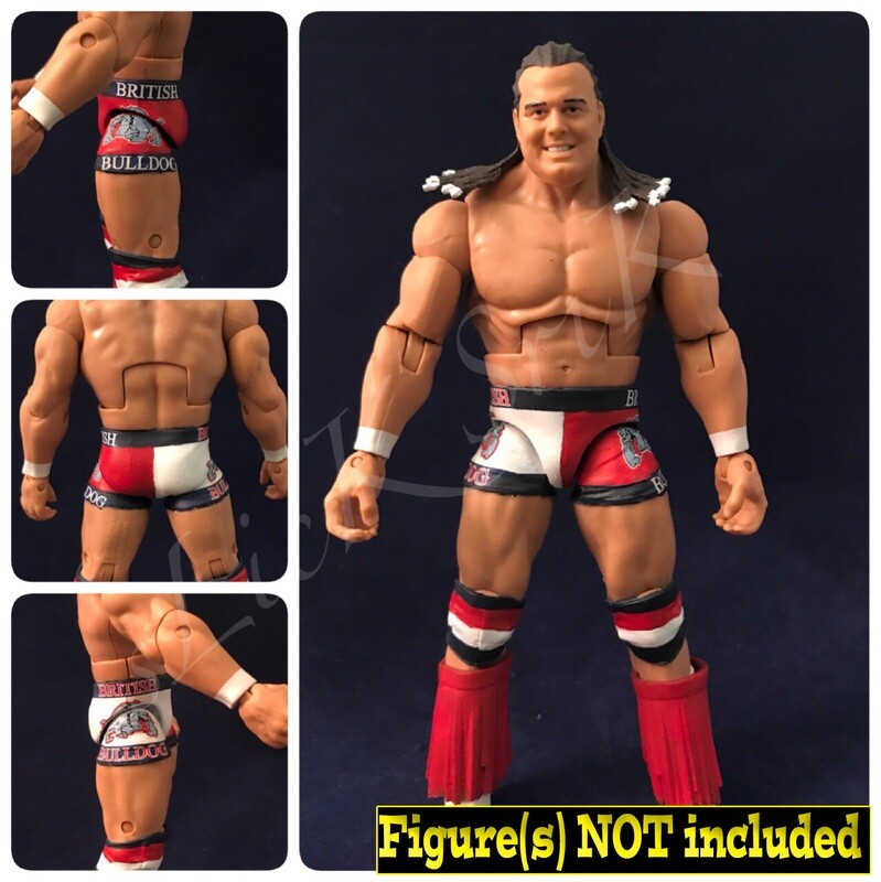 Davey Boy Smith/British Bulldog: WWE Royal Rumble (1995)