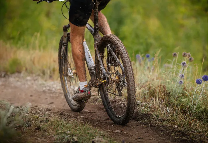 Bikes - Jasper Sports