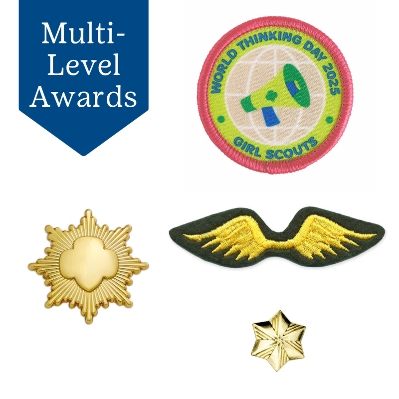 Multi-Level Awards
