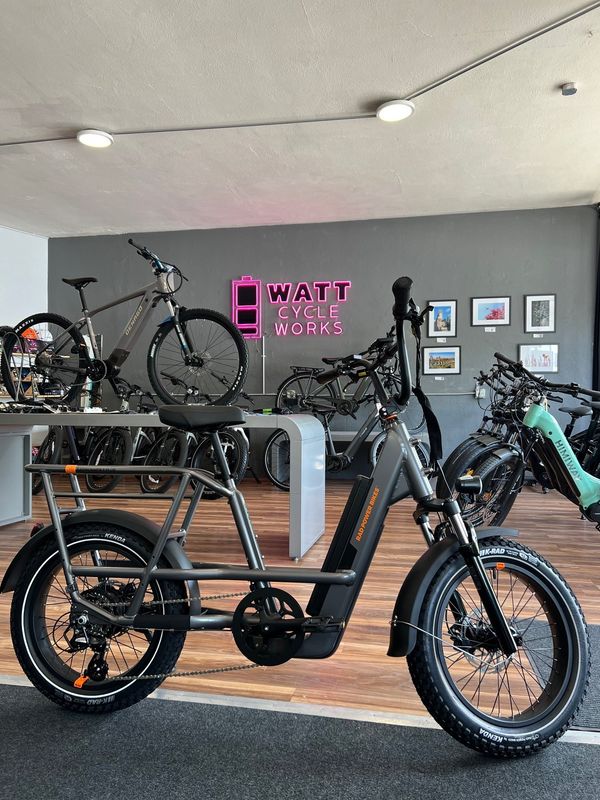 RadRunner 3 Plus Electric Utility Bike