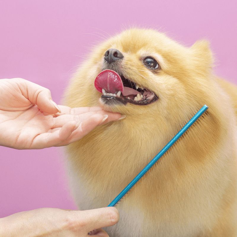 How to take Pet hair sample - Wellness Shopping Online