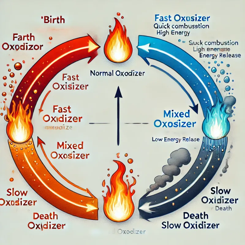 Oxidation Type - Fast or Slow?