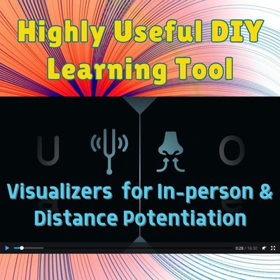 Potentiation In-person Visualizer | Checkout