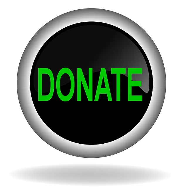 Downloads – Store – Power Bible