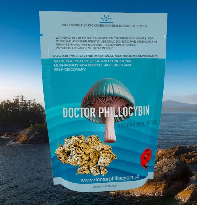 Omni-Enigma Medicinal Mushrooms