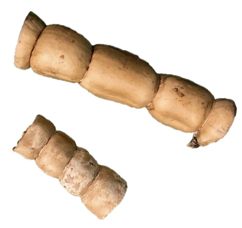 Great Lakes Beef Cheek Roll Large Hickory