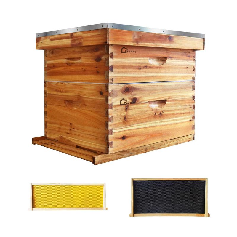 10-Frame Langstroth Beehive Kit