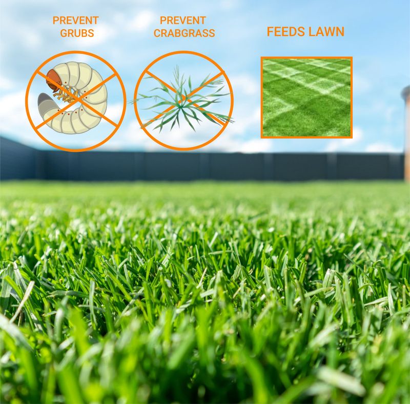 Grub + Crabgrass Preventer Plus Fertilizer