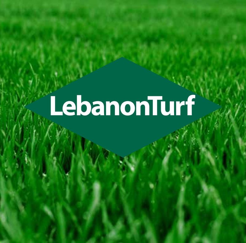 Lebanon Turf | Stratford CT | Shannon Garden