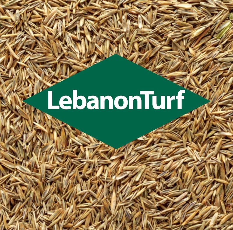 Lebanon Turf Grass Seed | Stratford CT | Shannon Garden