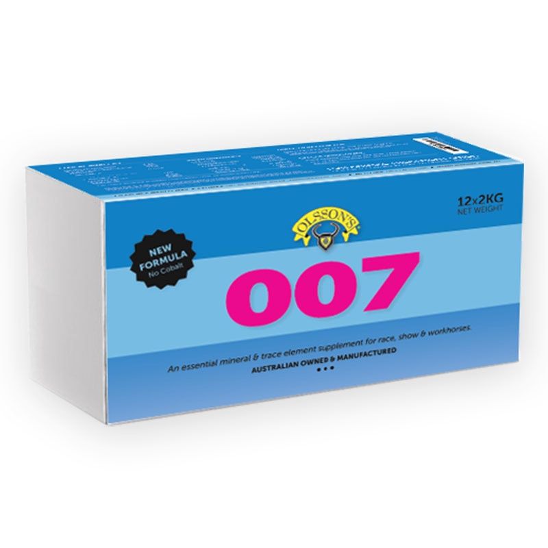 Olssons 007 Mineral block